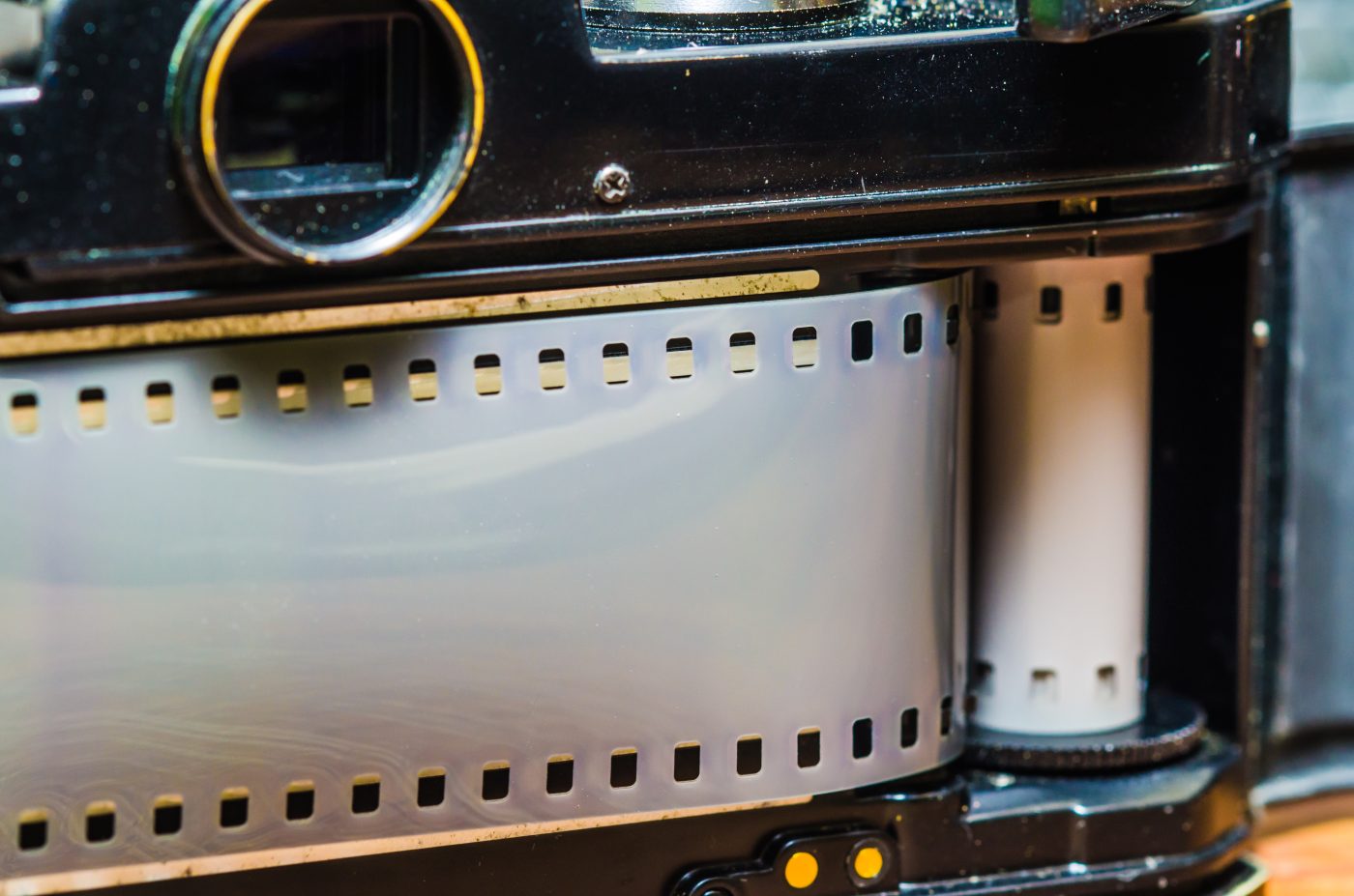 In Focus: The Resurgence of Film Photography in the Digital Era ...